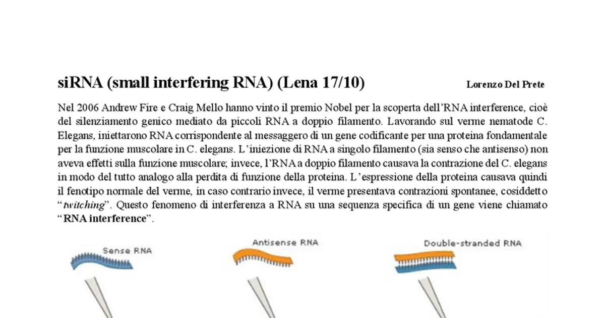 SiRNA (Small Interfering RNA) | Algor Library