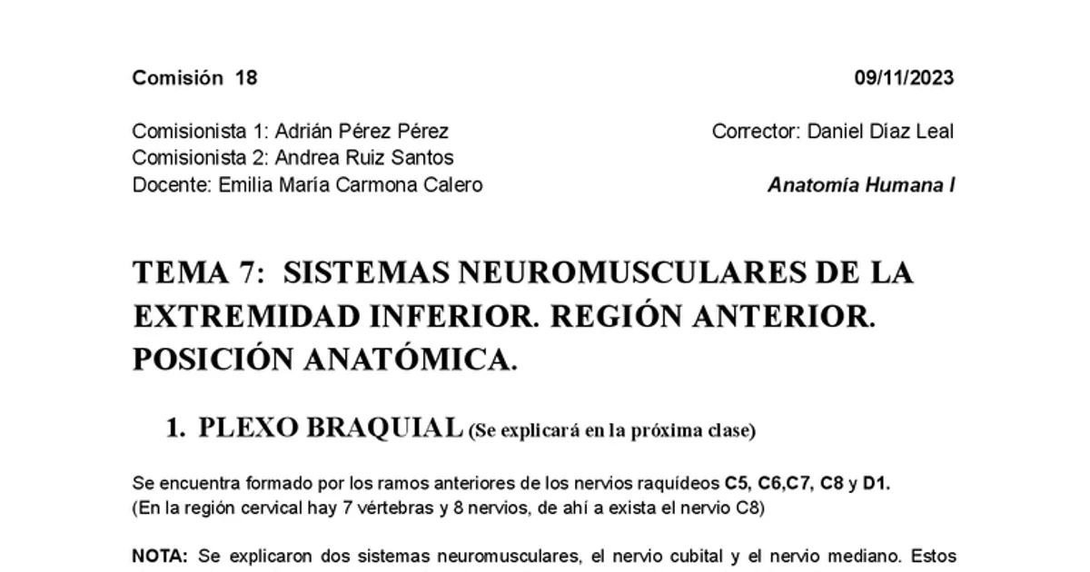 Sistemas Neuromusculares Extremidad Inferior | Algor Library
