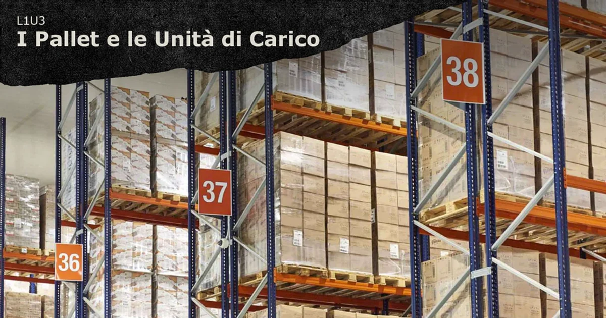 I Pallet e le Unità di Carico | Algor Library