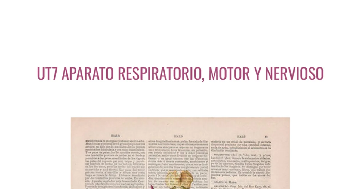 Ut7 Aparato Respiratorio, Motor y Nervioso | Algor Library