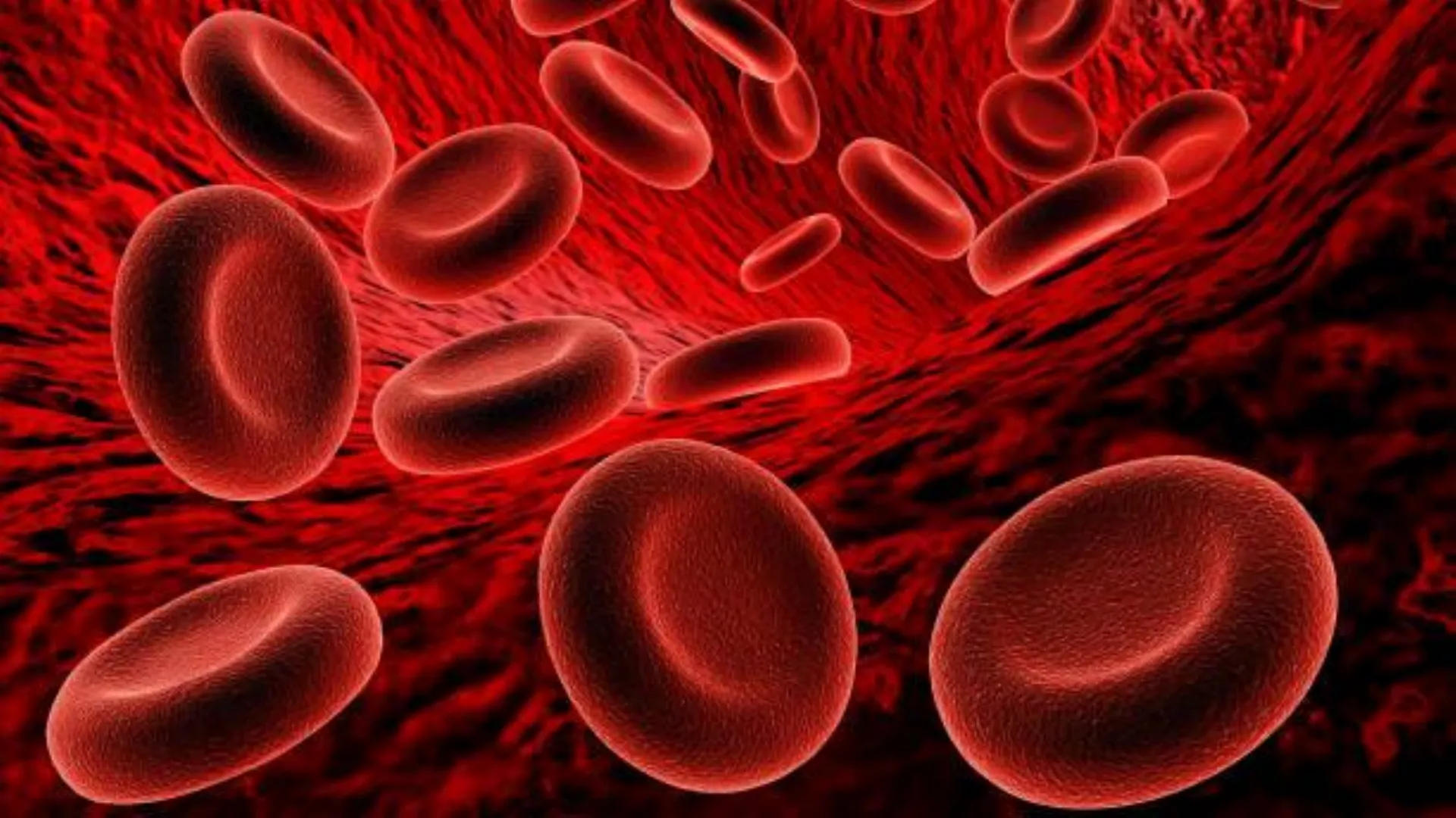 Hemoglobin Structure and Function, UAG | Algor Library
