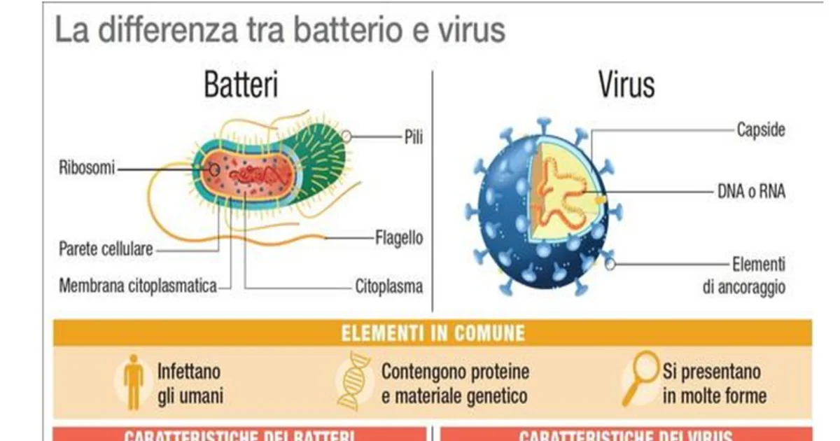La differenza tra batterio e virus | Algor Library