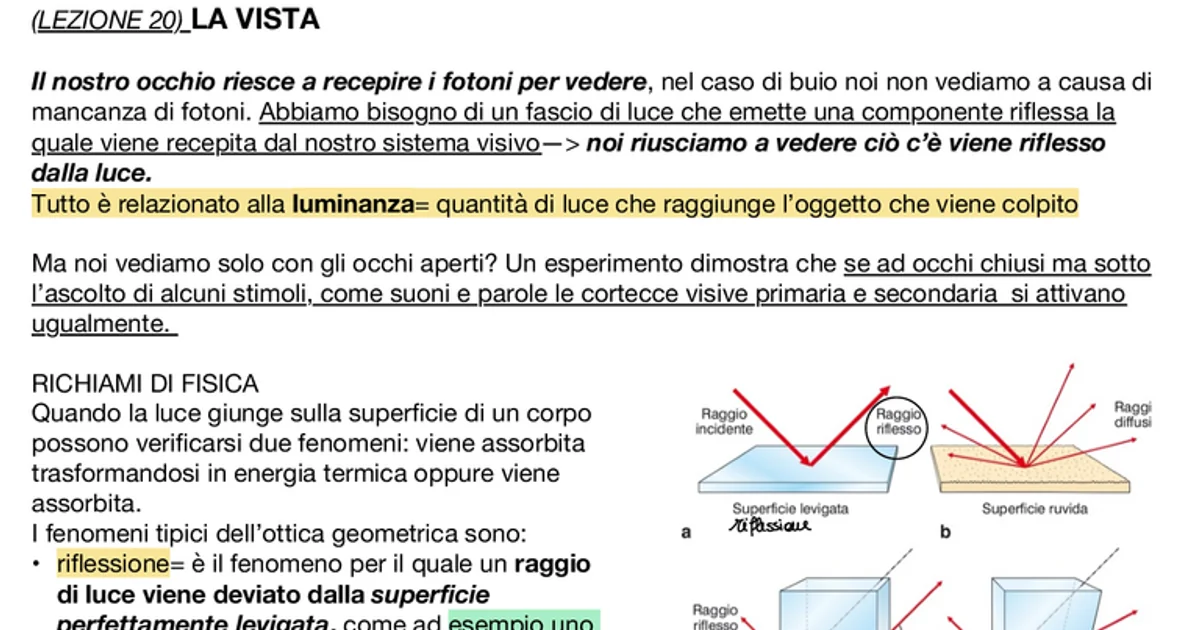 La Vista, Fisiologia della Retina | Algor Library