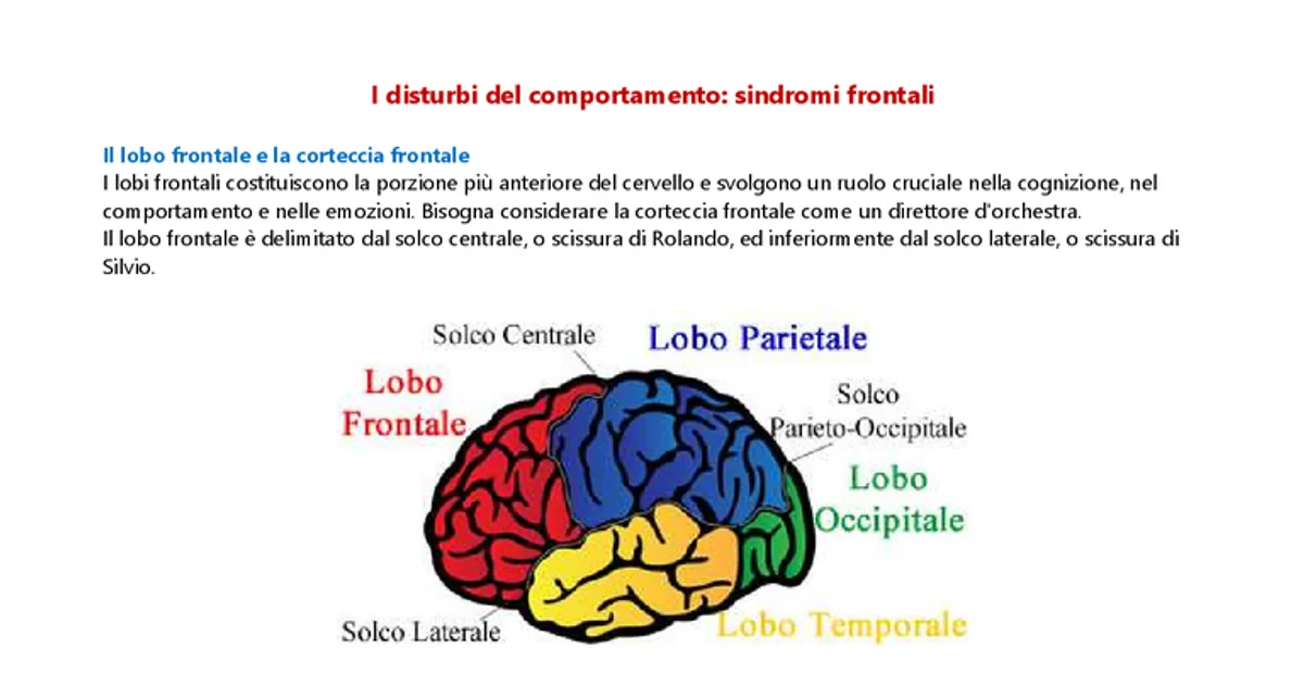 I Disturbi del Comportamento, Sindromi Frontali | Algor Library