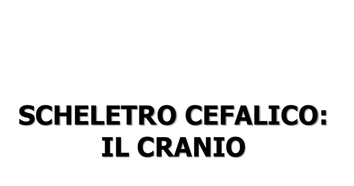 Scheletro Cefalico, il Cranio | Algor Library