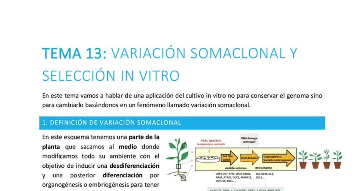 Variación Somaclonal y Selección In Vitro | Algor Library