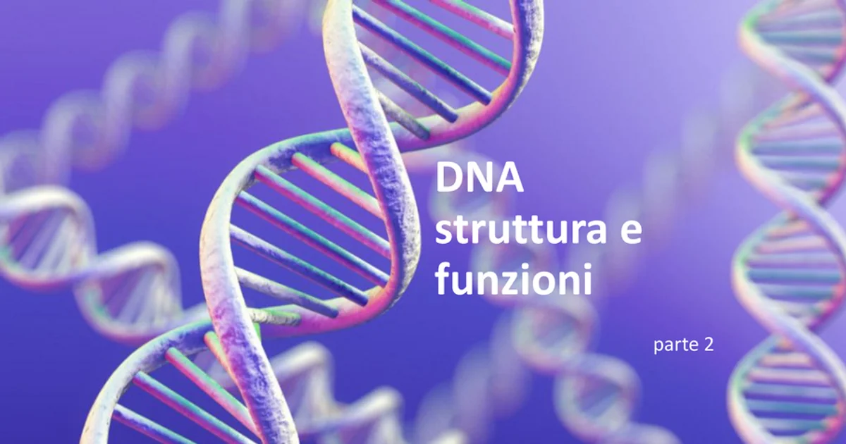 DNA Struttura e Funzioni Parte 2 | Algor Library
