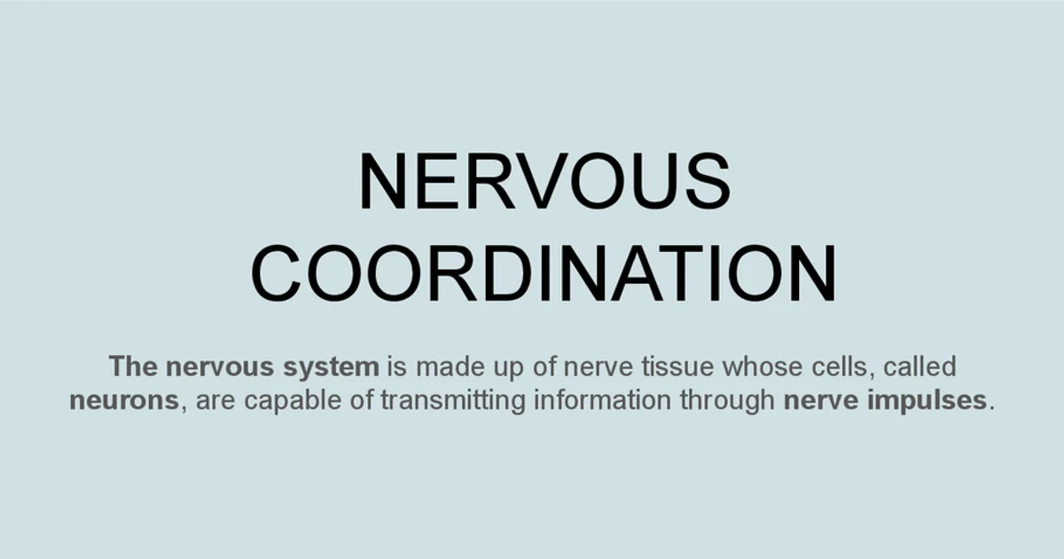 Nervous Coordination, Biology | Algor Library