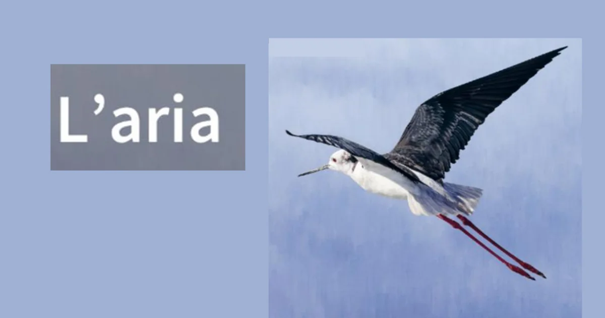 L'aria, composizione e strati | Algor Library