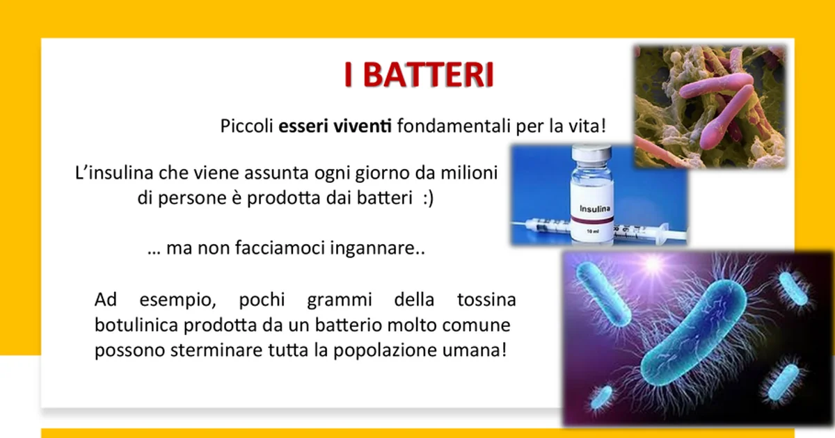 I Batteri | Algor Library