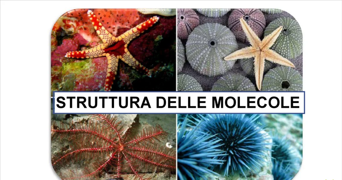 Struttura delle Molecole, Hub Scuola | Algor Library