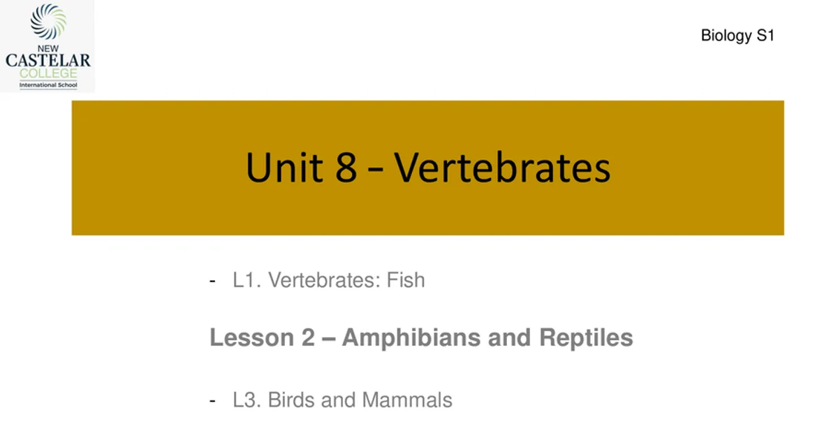 Unit 8 Vertebrates, New Castelar College | Algor Library