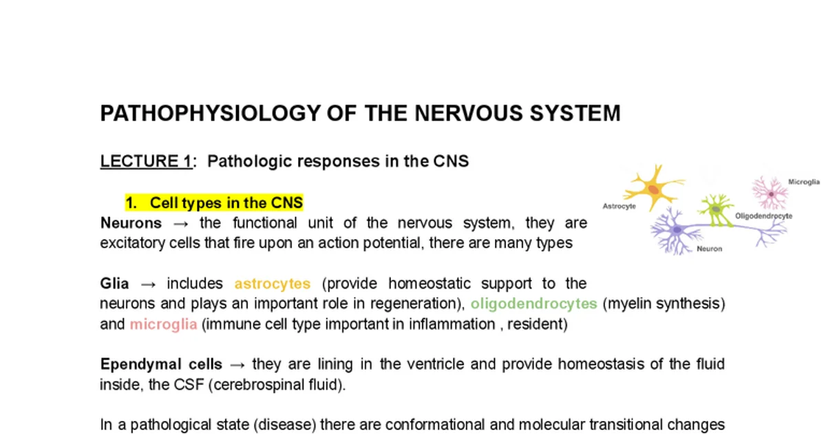 Pathophysiology of the Nervous System | Algor Library
