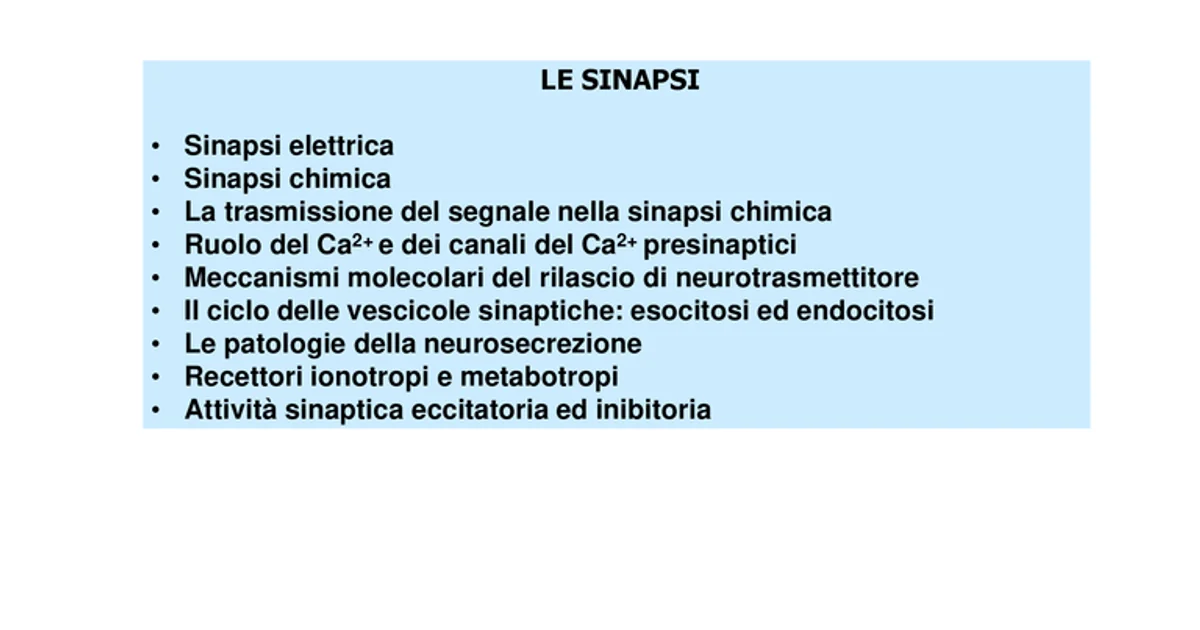 Le Sinapsi | Algor Library