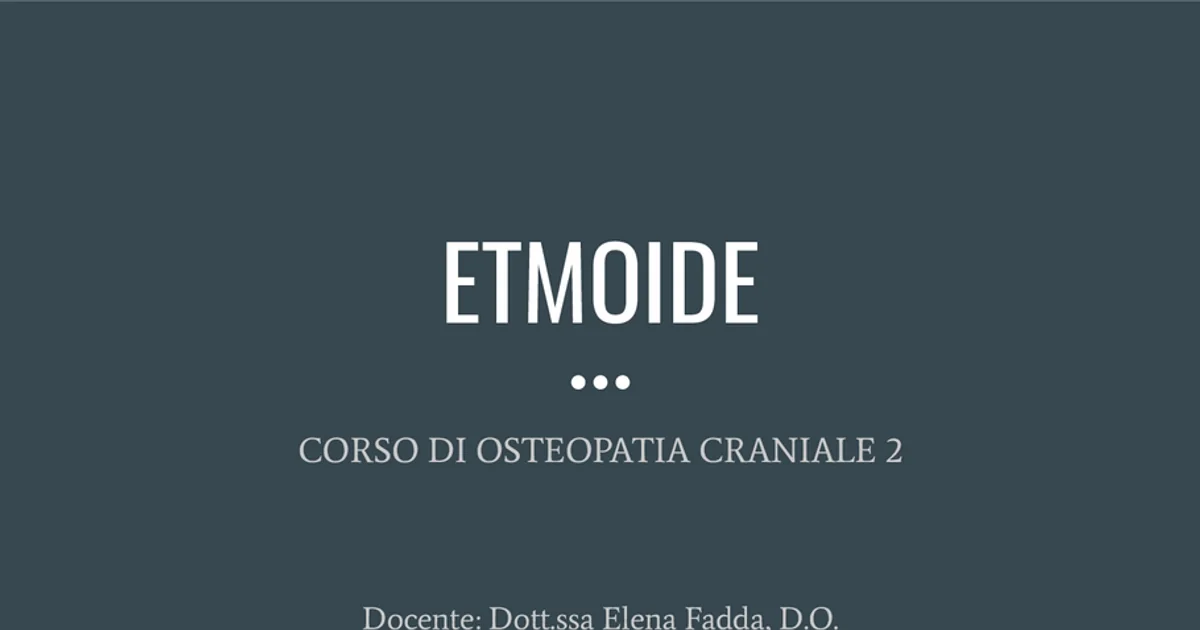 Etmoide, Anatomia e Ossificazione | Algor Library
