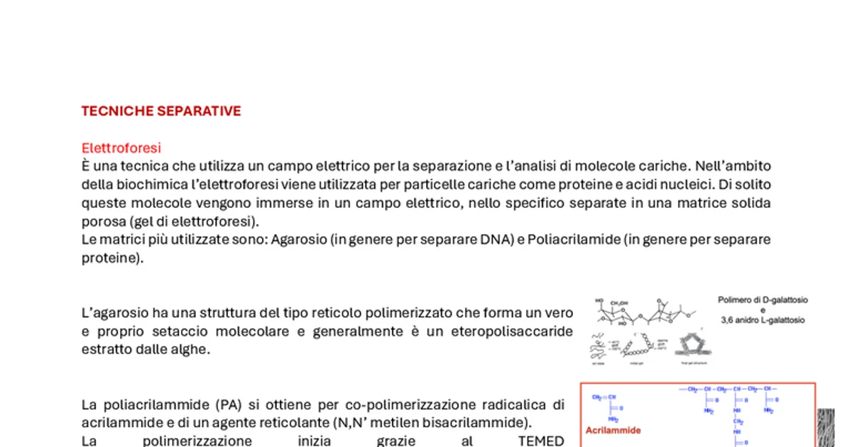 Tecniche Separative, Elettroforesi | Algor Library