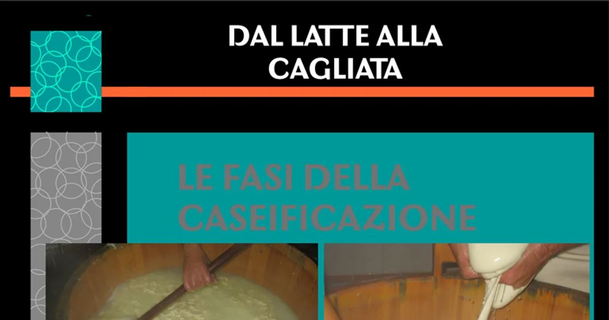 Dal Latte Alla Cagliata | Algor Library